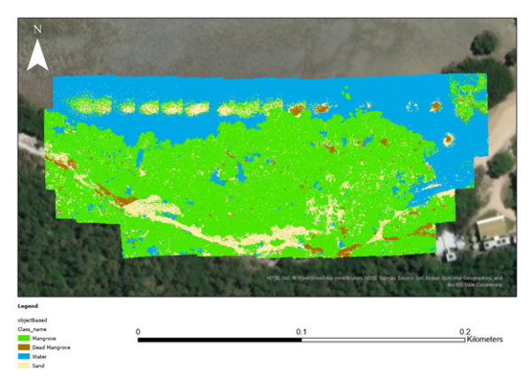 Mapping wetlands with drones and machine learning - GeoNadir