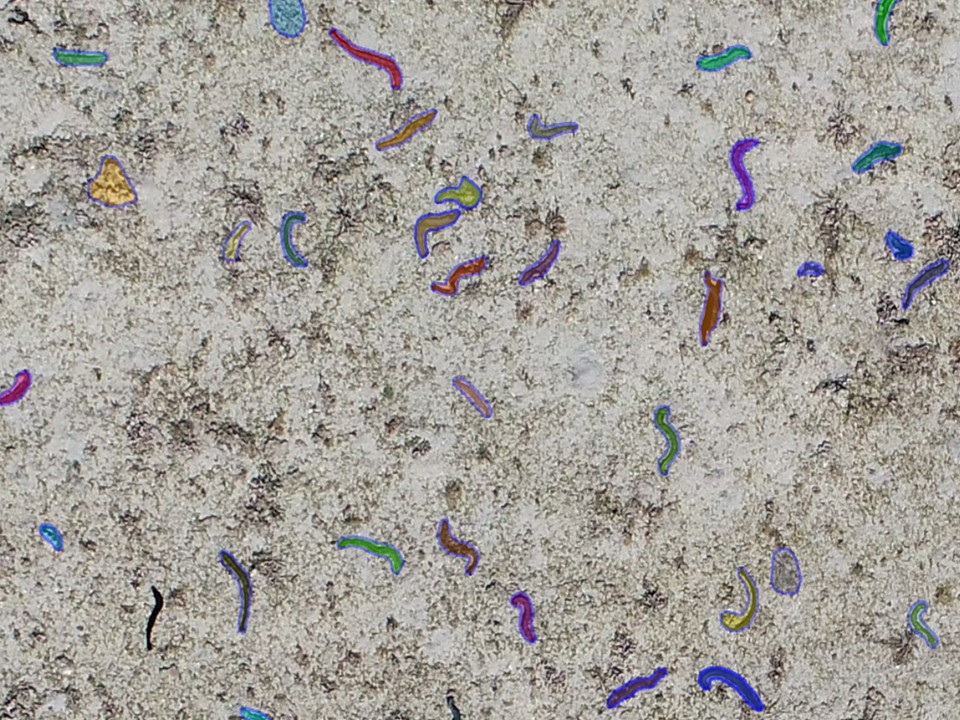 Can you use MetaAI's Segment Anything for drone imagery?